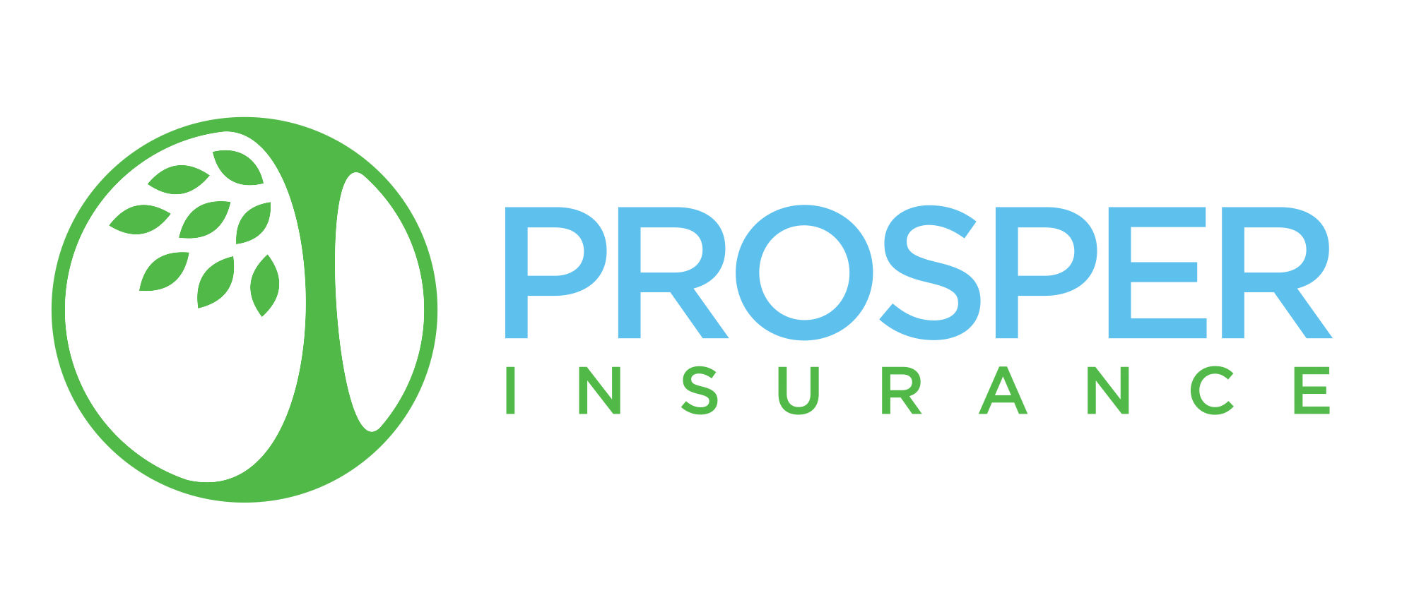 Prosper Insurance - Norfolk Digital Marketing Company